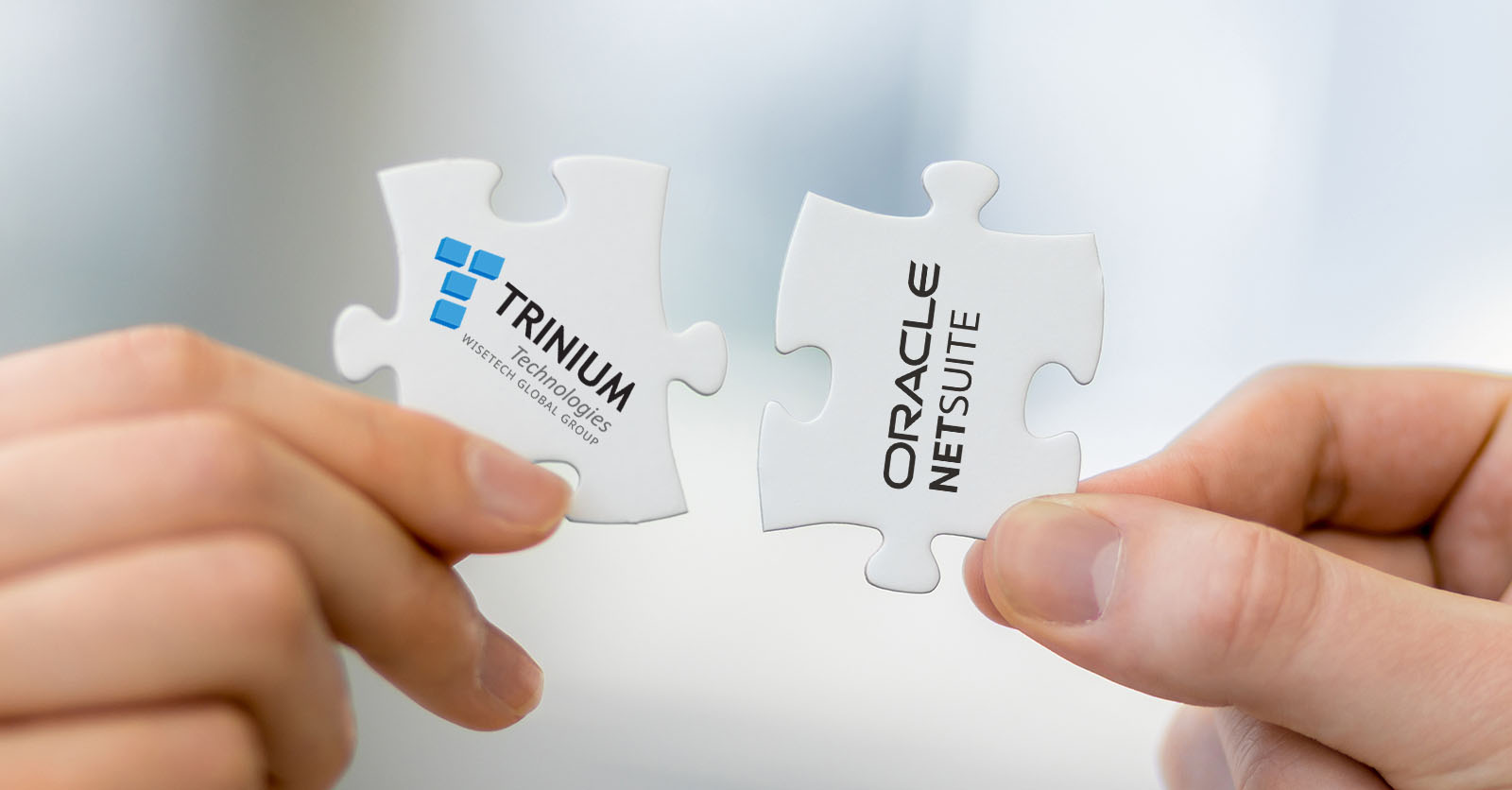 Drive Business Success with Trinium and NetSuite Integration – Bipio ...